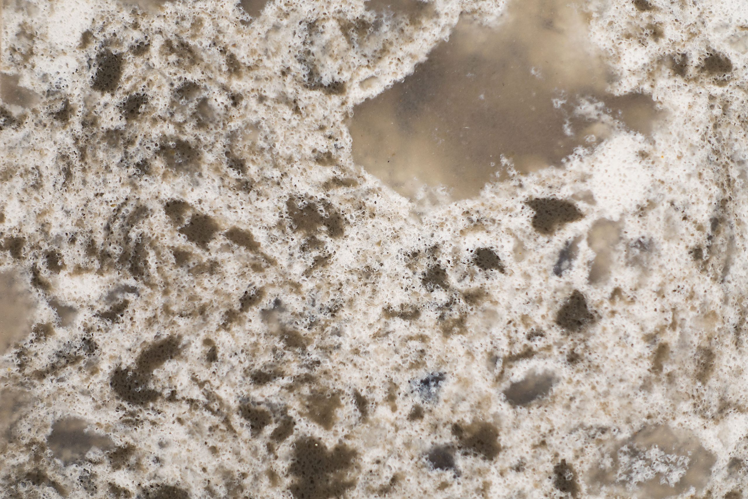 Cascade White - ReNU Kitchen